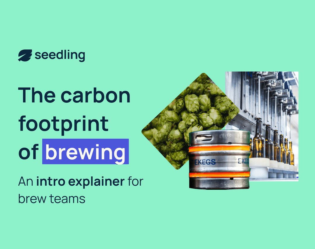 What Is the Carbon Footprint of Brewing? A Practical Guide for Craft Breweries | Seedling